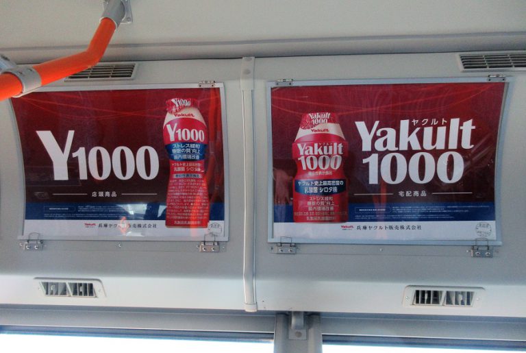 徹底解説｜Yakult1000とY1000の違いって何？