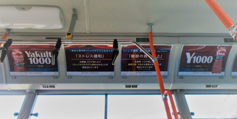 徹底解説｜Yakult1000とY1000の違いって何？